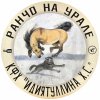 Иконка канала Ранчо на Урале
