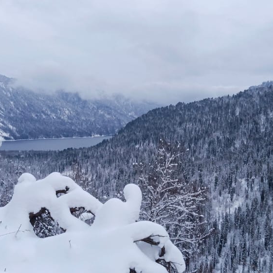 Иконка канала channel41602557