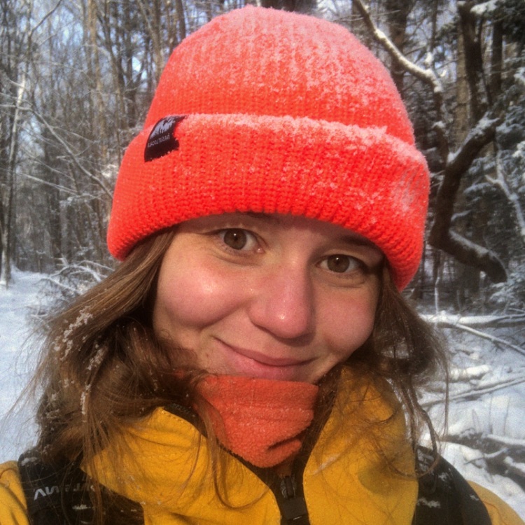 Иконка канала alinasilutina