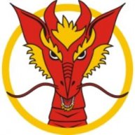 Иконка канала Желтый Дракон