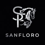Иконка канала Sanfloro