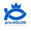 Иконка канала pro.HOLOD
