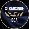 Иконка канала STRAUSINOE_BOA