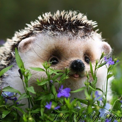 Иконка канала rutube_account_17794985