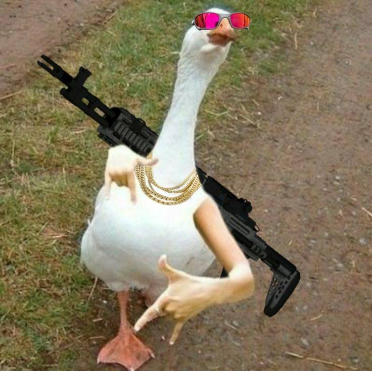 Иконка канала TEG_ICH