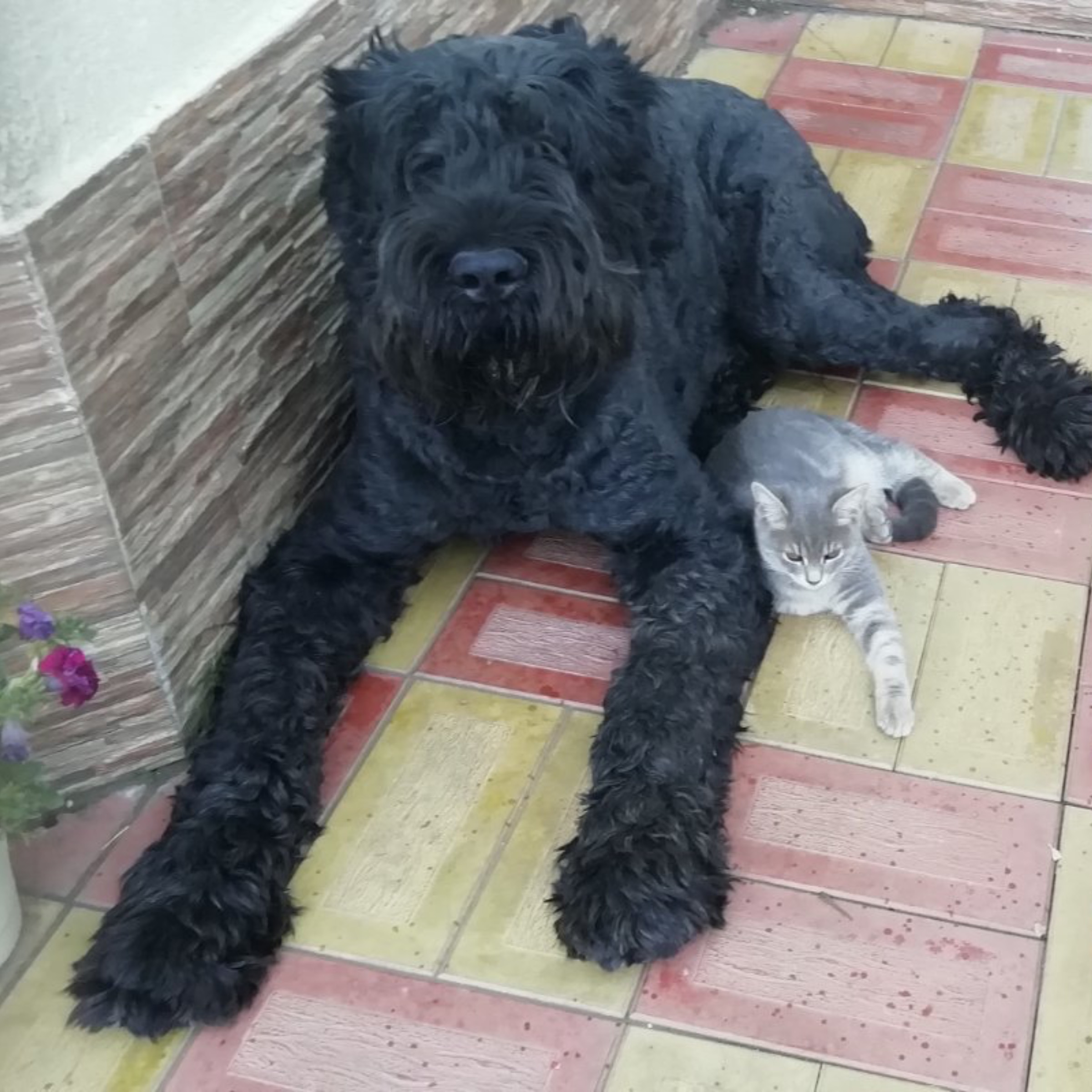 Иконка канала Конрад Карлович Михельсон