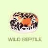 Иконка канала Wild reptile🐊