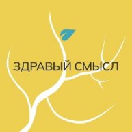 Иконка канала Здравый Смысл