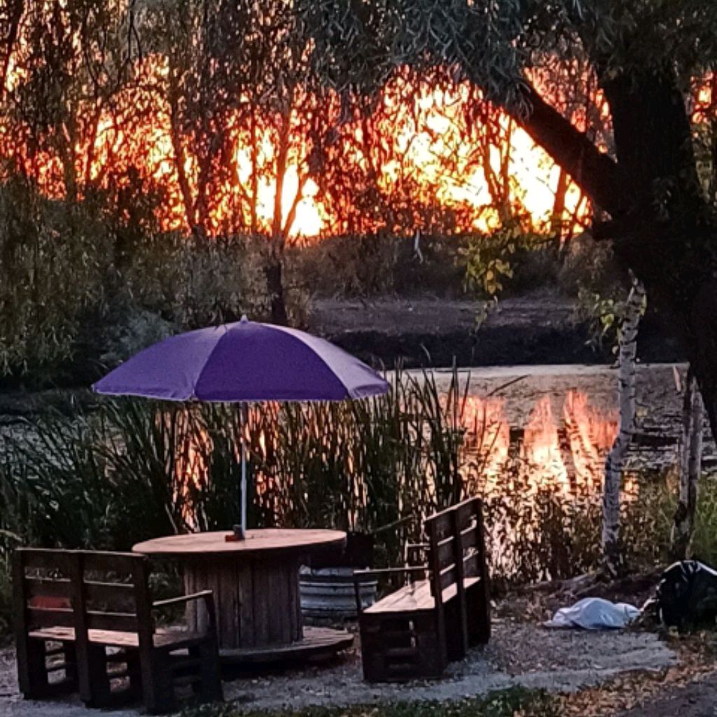 Иконка канала На берегу пруда