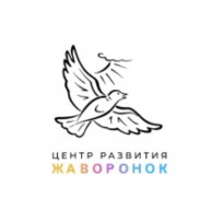 Иконка канала zhavoron0k