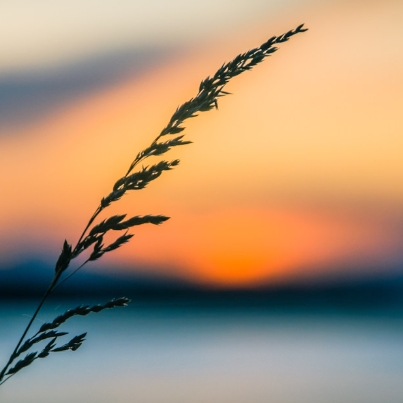 Иконка канала @khabijat756