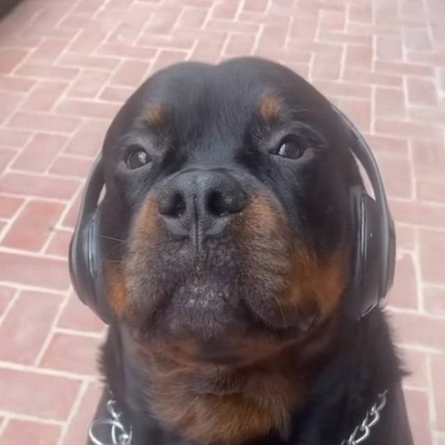 Иконка канала Сережа Боровик