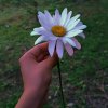 Иконка канала Алинус
