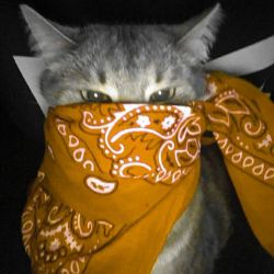 Иконка канала марат  и тимур