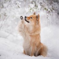 Иконка канала Vasq1337