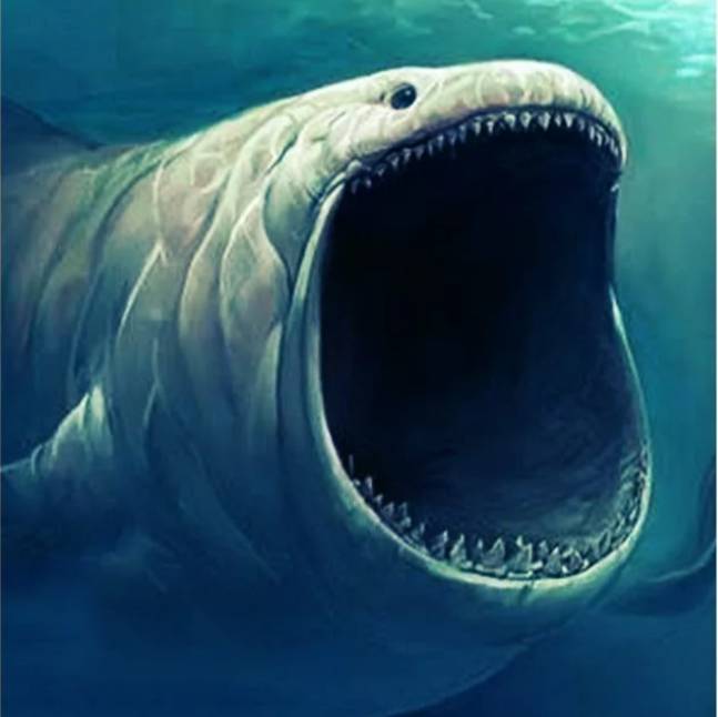 Иконка канала channel56113905