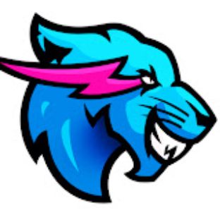 Иконка канала MrBeast Gaming
