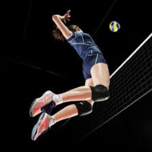 Иконка канала Papa Volleyball