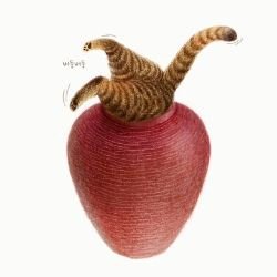 Иконка канала МузЪ