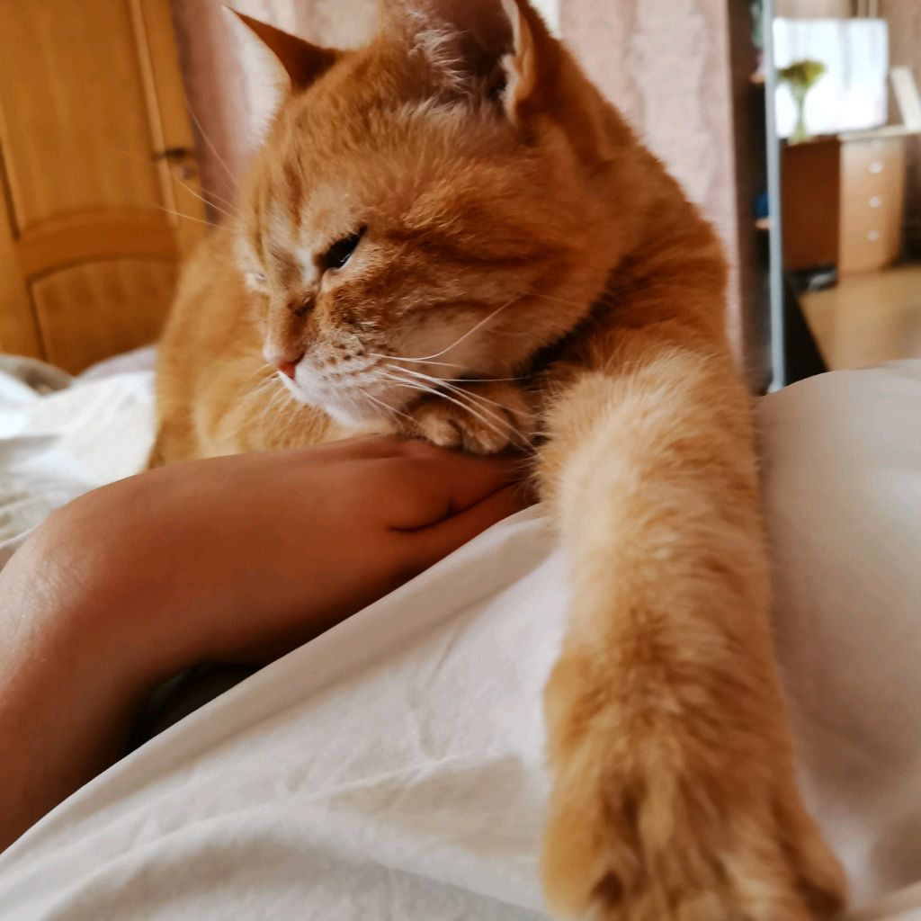 Иконка канала Просто Так