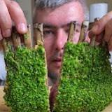 Иконка канала USA_FOOD