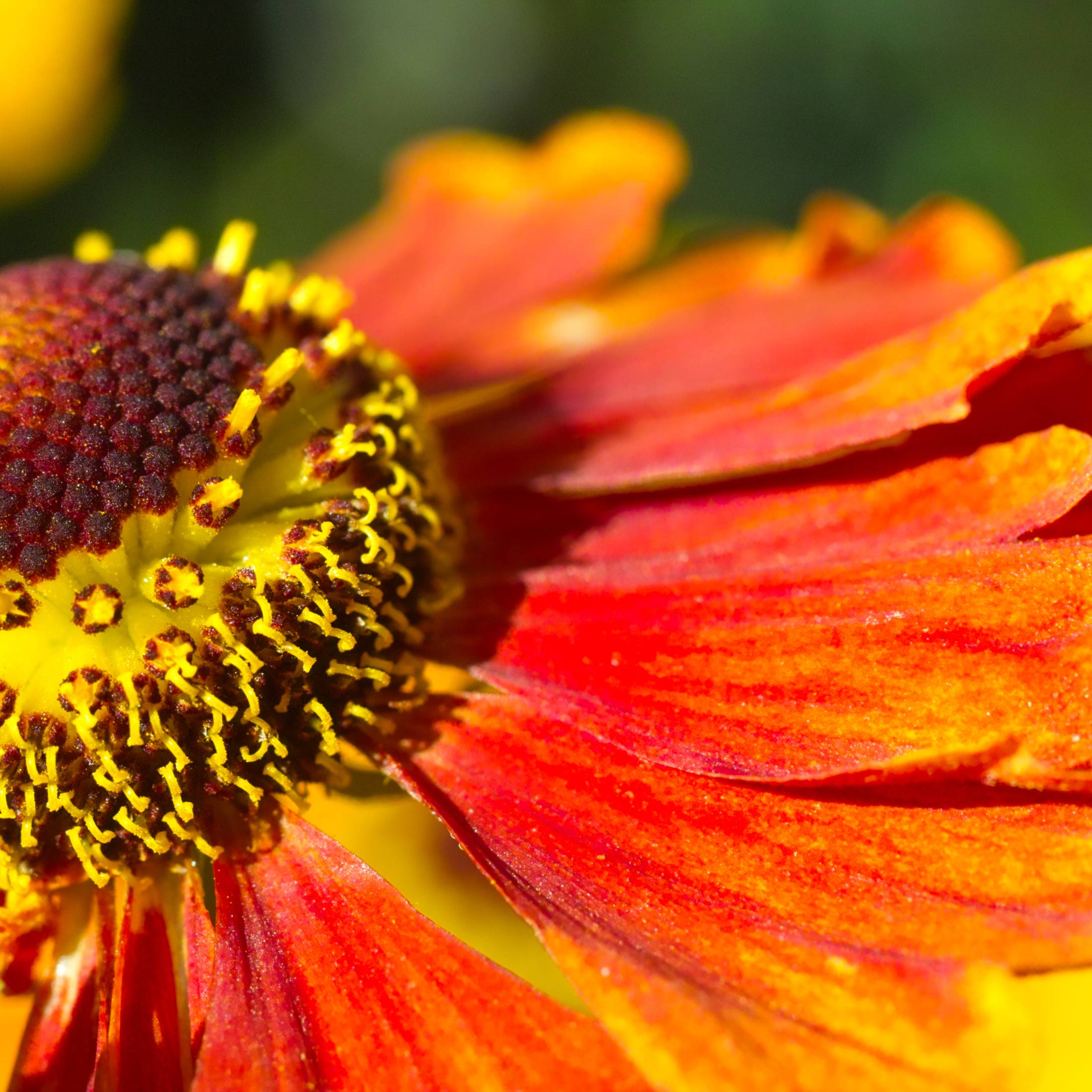 Иконка канала ZDG