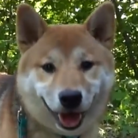 Иконка канала Rtyd_127