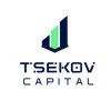 Иконка канала Tsekov Capital