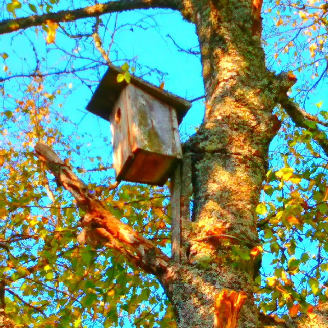 Иконка канала Василич 52