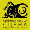 Иконка канала Экспериментальная сцена п/ А. А. Праудина