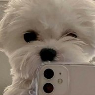 Иконка канала Ваша Т/и