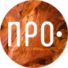 Иконка канала ТВ ПРО•