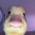 Иконка канала owner_isceo