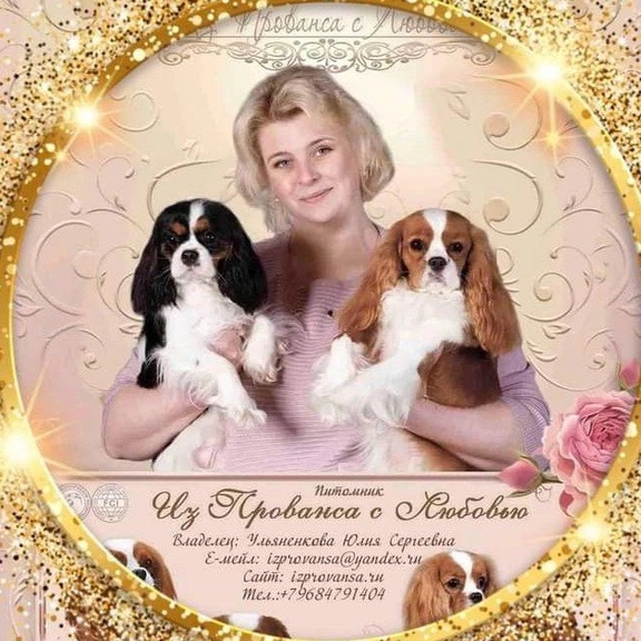 Иконка канала 🩵🩷🩵Питомник " Из Прованса с Любовю" 🩵🩷🩵