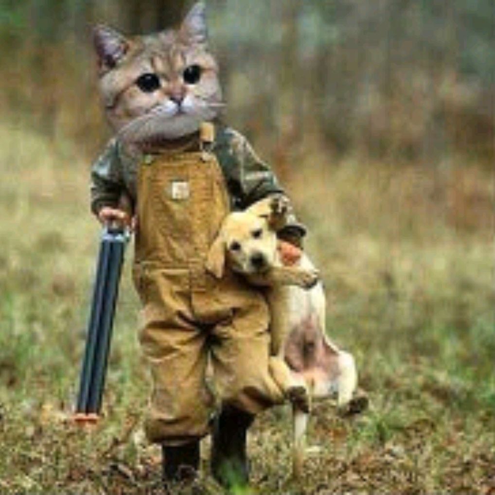 Иконка канала "Чудесный Ханты-Мансийск"