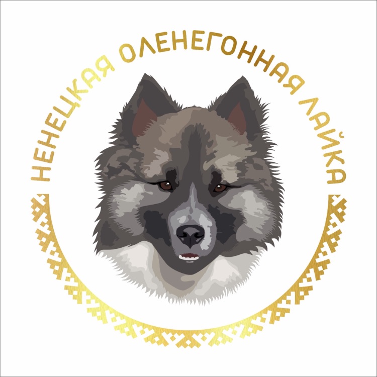 Иконка канала Ненецкая оленегонная лайка