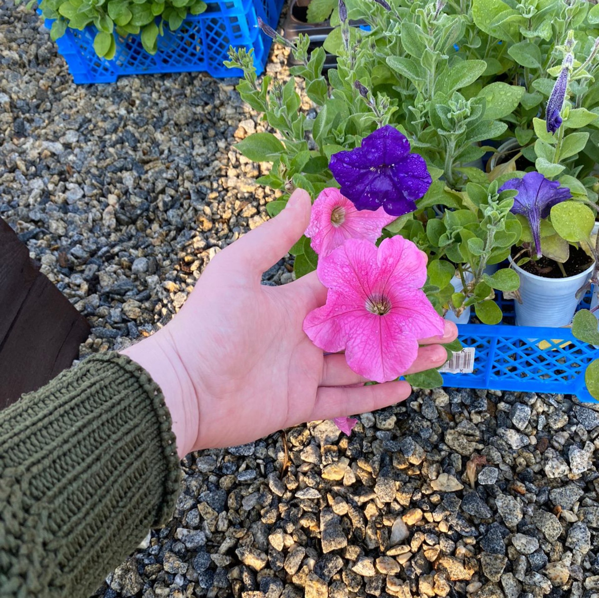 Иконка канала ИЗ ГОРОДА В СЕЛО