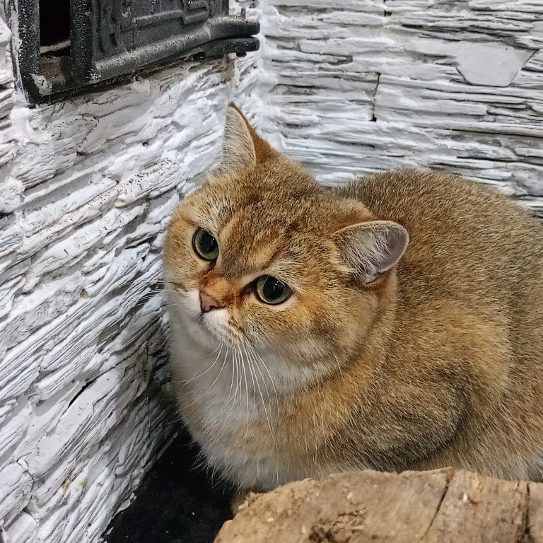 Иконка канала ПРОСТО ГЛЕБ