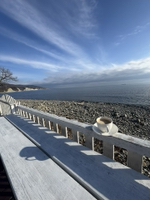 Иконка канала Николай Мельгунов