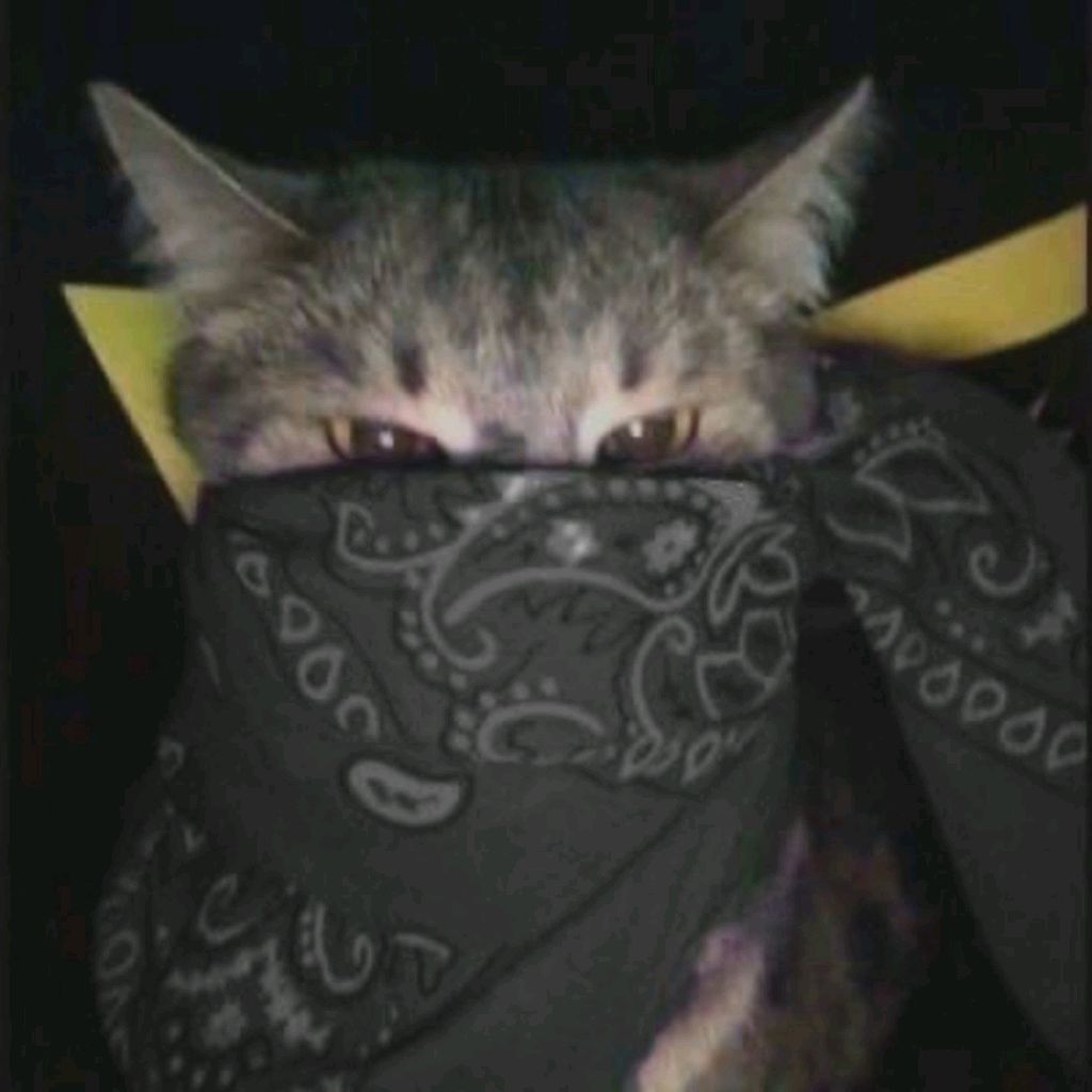 Иконка канала Batsha_int