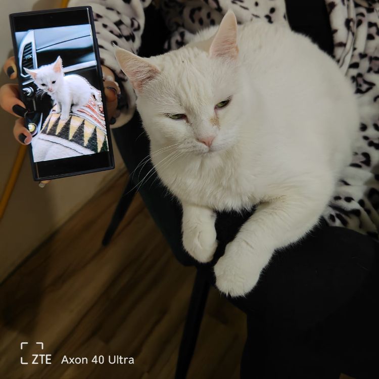 Иконка канала Atv_tatka