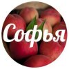 Иконка канала Софья Хохрина