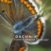 Иконка канала DACHNIK и его яркая Жизнь (Tenderness of nature)