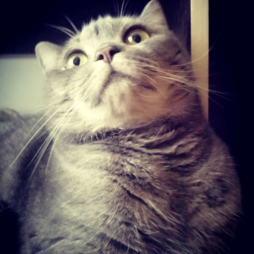 Иконка канала Максим