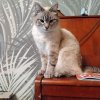 Иконка канала Аким  Ксенофонтов