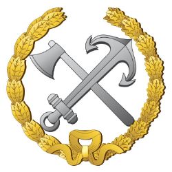 Иконка канала РОССИЙСКОЕ ОБЩЕСТВО ИСТОРИКОВ ТРАНСПОРТА