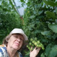 Иконка канала Дачные будни и не только