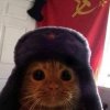 Иконка канала MrCote