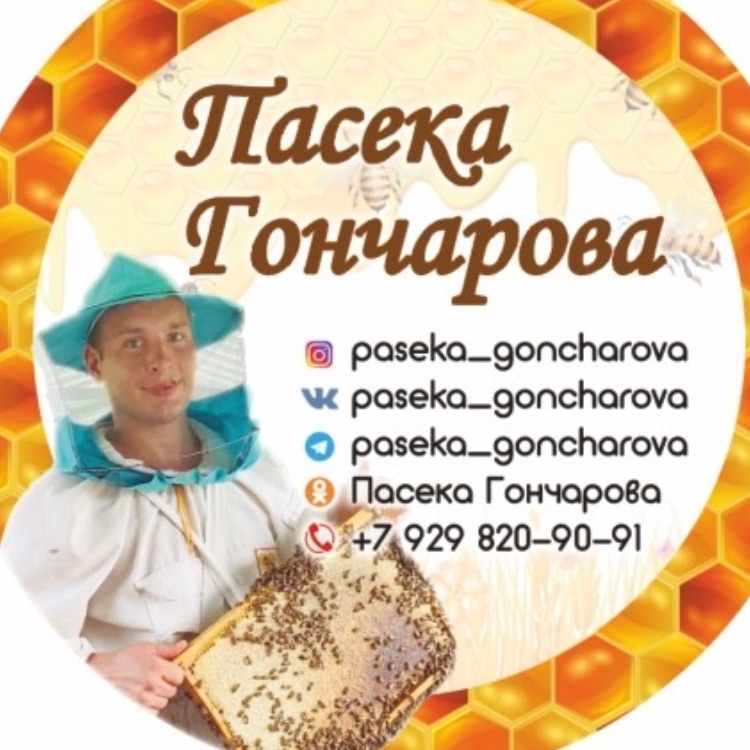 Иконка канала paseka_goncharova