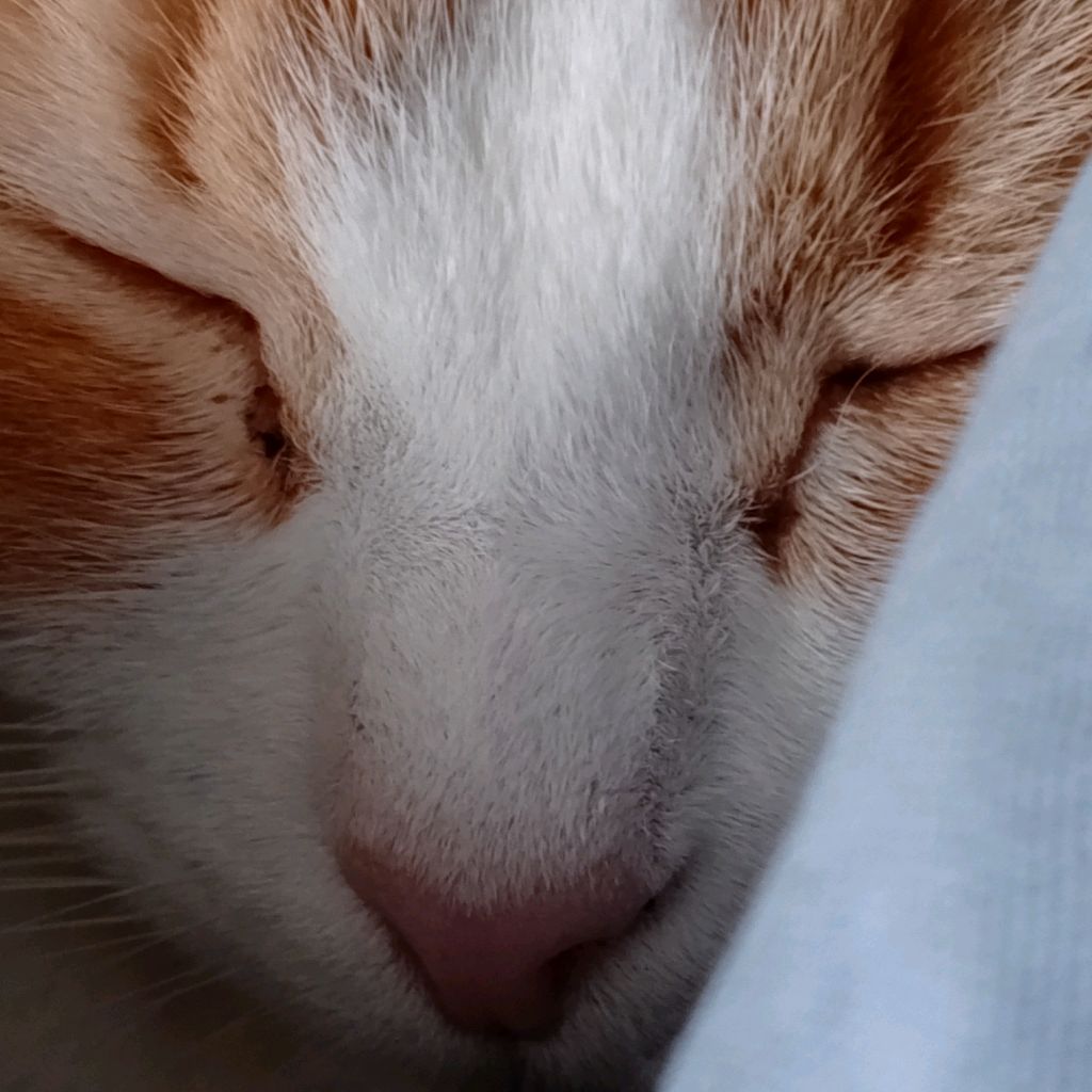 Иконка канала Рожок